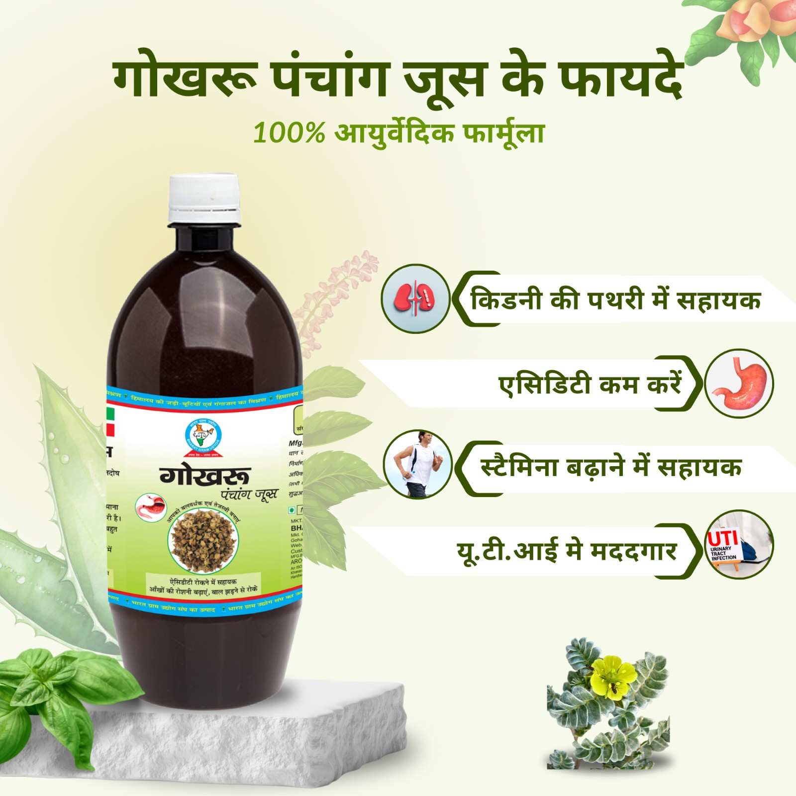 Gokhru Panchang Juice – Ayurvedic Botanical Juice for Everyday Balance ...